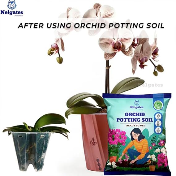 Premium Orchid Potting Soil Mix | Lightweight, Well-Draining Blend for ...